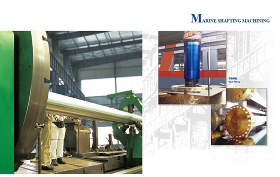 Customized Design Low Pressure Cpp For Different Hull Forms And Functions