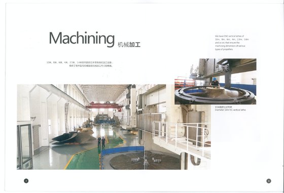 Customized Design Low Pressure Cpp For Different Hull Forms And Functions
