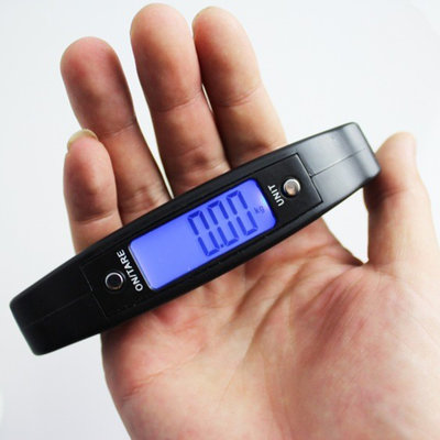 50kg x 10g Brand Portable Electronic Digital Scale,Kitchen Scales Hanging Fishing Hook