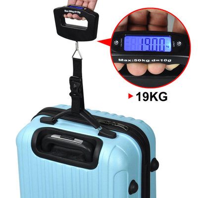 50kg x 10g Brand Portable Electronic Digital Scale,Kitchen Scales Hanging Fishing Hook