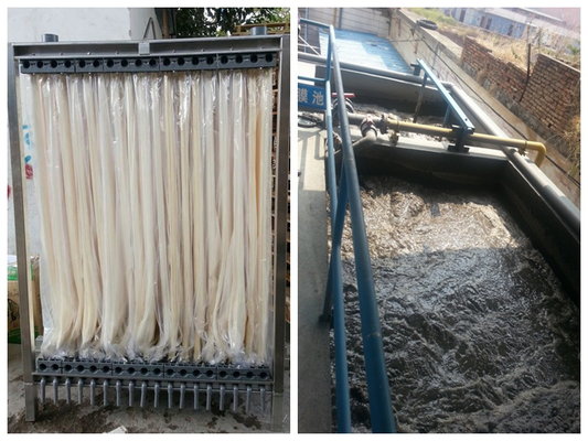 Water Filtration Hollow Fiber MBR Membrane for Industrial Wastewater Treatment