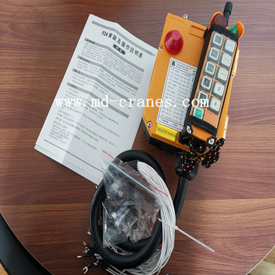 F24-10D Radio Remote Control for Overhead Crane Gantry Crane Jib Crane supplier