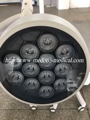 Hot Sale! Medical Cold LED Operation Light LED Examination Light Ecog053 Medical Light
