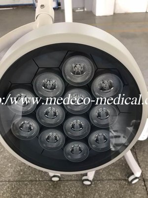Hot Sale! Medical Cold LED Operation Light LED Examination Light Ecog053 Medical Light