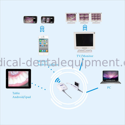 Wired Intra Oral Camera Multi language white light LED IC - 005W