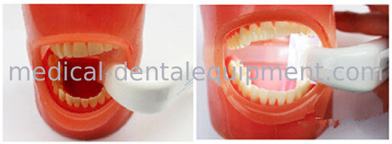 Wireless Rechargeable Intra Oral Camera With Suction D8 - 138