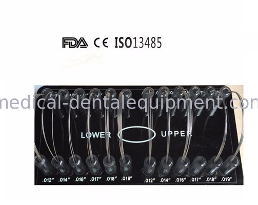 Dental Preformed Orthodontic Wire Place Bur Box Arch Wire Box