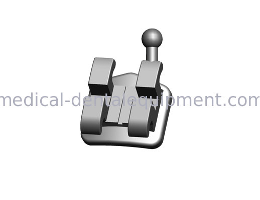 Orthodontic Roth Brackets Used In Hospital Dentists And Orthodontists