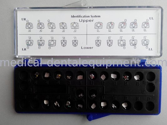 MIM Orthodontic Brackets Dental Clinic Equipment Mini Roth 022"