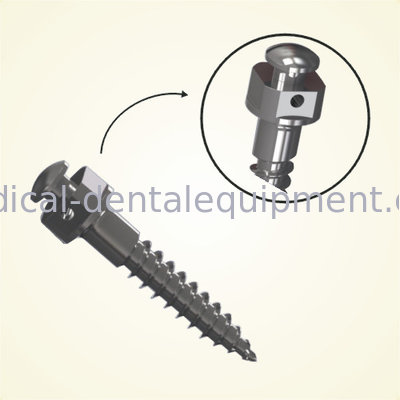 Dental Micro Implants Orthodontic Miniscrews Titanium Alloy