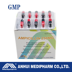 Ampicillin Capsule 500mg
