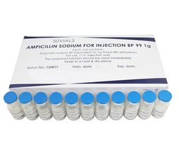 Ampicillin Sodium for Injection 1g/10ml 10vials/box or 50vials/box