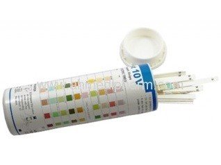 10 Parameters Urine Test Strip