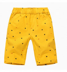 China Children's summer shorts men's sports pants casual pants thin section tide supplier