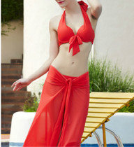 Sexy swimsuit for women popular in the world supplier