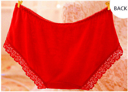 Underwear lady seduction transparent lace fabric waist pants girl seduction supplier