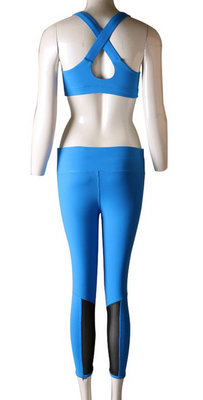blue yoga clothes running sports bra active wear quality womens sports clothing fall 2016 supplier