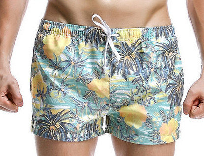 Fashion beachwear for men boardshort high quality supplier