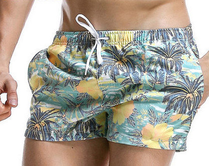 Fashion beachwear for men boardshort high quality supplier