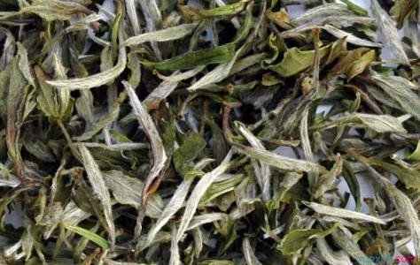 High Quality natural organic White Peony tea Pai Mu Dan loose tea leaf