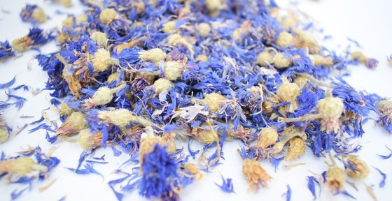 Cornflowers Flower flavor Tea natural slimming tea