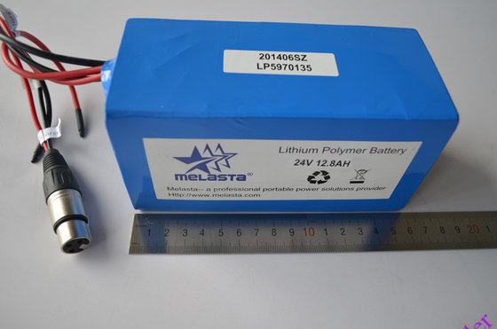 24V 11.8Ah rechargeable LiPo Battery for E-bike/ Wheel Chair with Charger
