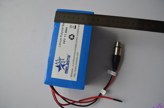 24V 11.8Ah rechargeable LiPo Battery for E-bike/ Wheel Chair with Charger