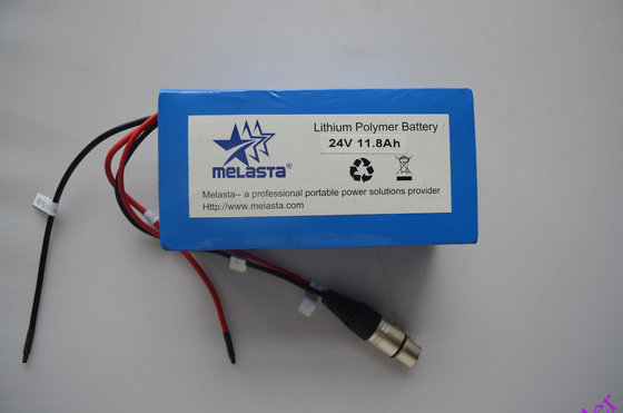24V 11.8Ah rechargeable LiPo Battery for E-bike/ Wheel Chair with Charger