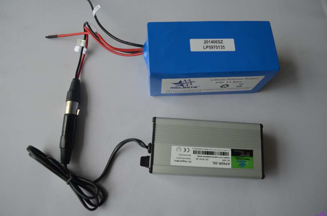 24V 11.8Ah rechargeable LiPo Battery for E-bike/ Wheel Chair with Charger