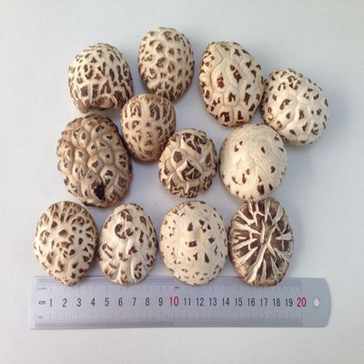 Factory Price Dried White Flower Mushroom Whole 3KG with Cap 3-4 CM