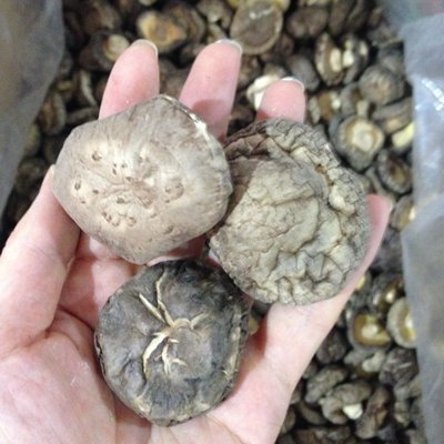 All Types of Dried Shiitake Mushroom Whole 3-4CM & 4-5CM Cap in Bulk