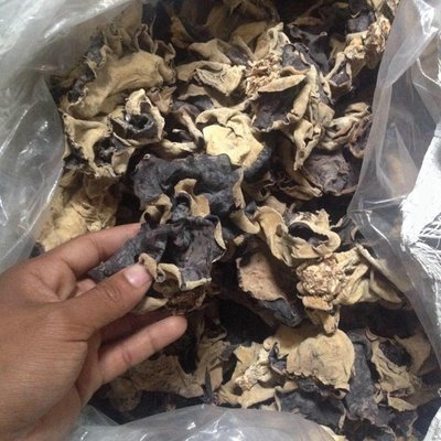 Factory Price Non-Washed Dried White Back Black Fungus Mushroom  in Bulk