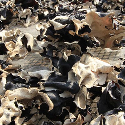 Factory Price Non-Washed Dried White Back Black Fungus Mushroom  in Bulk