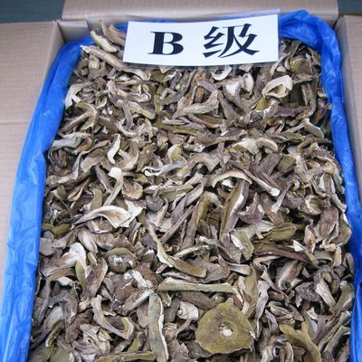 Factory Price Sliced Dried Boletus Edulis  B Grade