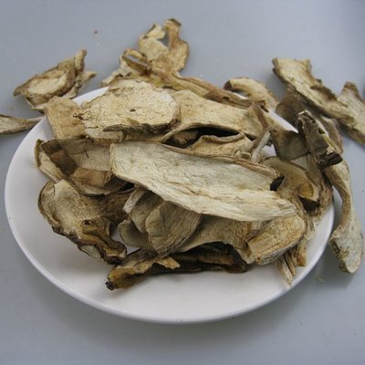 Factory Price Wild Dried Boletus Luteus Slices Grade A in Bulk