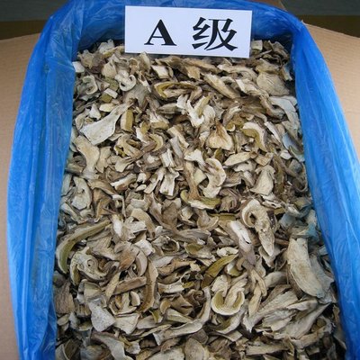Factory Price Wild Dried Boletus Luteus Slices Grade A in Bulk