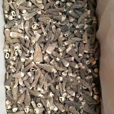 Factory Price Cultiavated Cap 3-8CM Dried Morel Mushroom without Stem