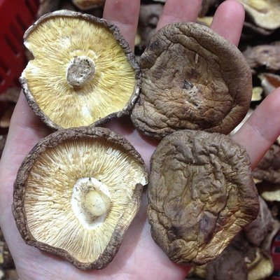 Factory Price Brown Dried Shiitake Mushroom Whole 1KGS Pack with 3-4CM Cap