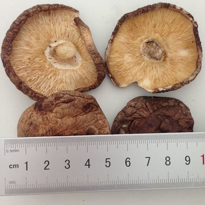 Factory Price Brown Dried Shiitake Mushroom Whole 1KGS Pack with 3-4CM Cap