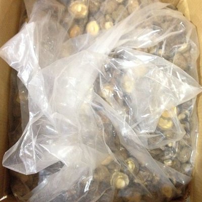 Factory Price Premium  Bulk Brown Dried Smooth Mushroom Shiitake Whole with Cap 4-6CM