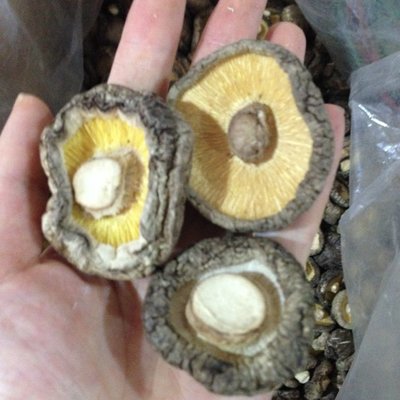 Factory Price Premium  Bulk Brown Dried Smooth Mushroom Shiitake Whole with Cap 4-6CM