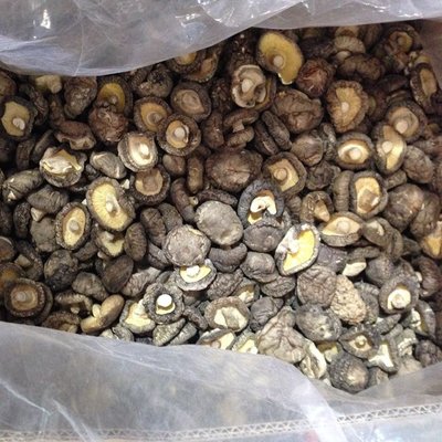 Factory Price Premium  Bulk Brown Dried Smooth Mushroom Shiitake Whole with Cap 4-6CM