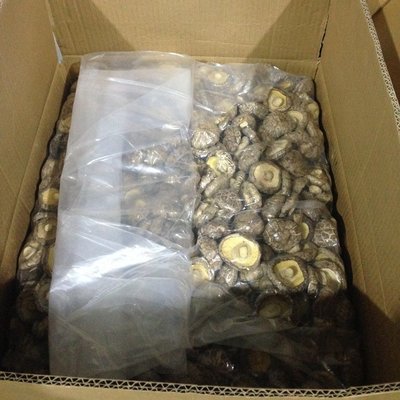 Factory Price Premium  Bulk Dried Tea Flower Mushroom Shiitake Whole with Cap 4-6CM