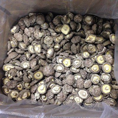 Factory Price Premium  Bulk Dried Tea Flower Mushroom Shiitake Whole with Cap 4-6CM