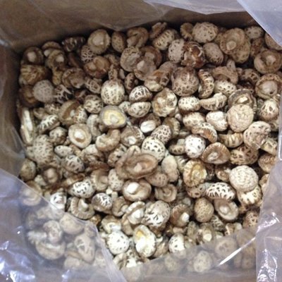 Factory Price Premium Bulk White Dried Flower Mushroom Shiitake Whole with Cap 3-4CM