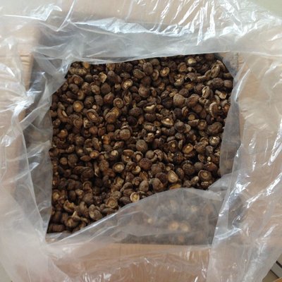 Factory Price Premium Bulk Dried Brown Smooth Shiitake Mushroom Whole with Cap 2-3CM