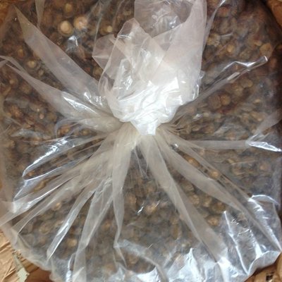 Factory Price Premium Bulk Dried Brown Smooth Shiitake Mushroom Whole with Cap 2-3CM