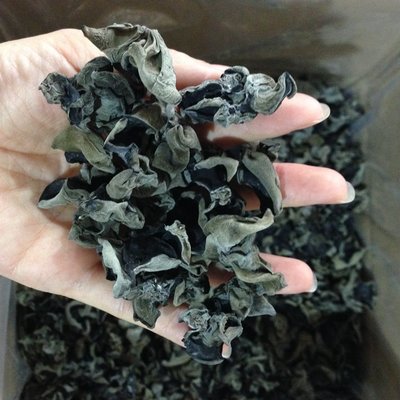 Factory Price Bulk Dried Black Fungus 2.5CM Above in 15KGS Pack