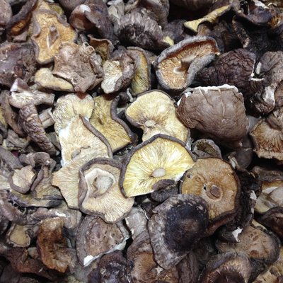 Factory Price Organic Dried Mushroom Shiitake Broken Whole in Bulk