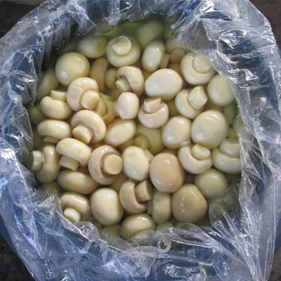 Factory Price Premium Bulk Brined Whole Mushroom in Drum
